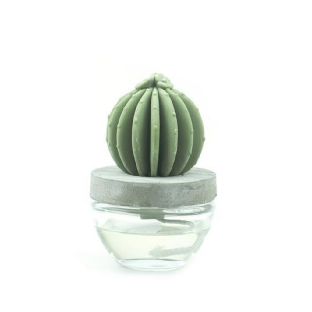 Barrel Cactus Ceramic Diffuser - Ocean Breeze – Ivy & Sage Lifestyle Co